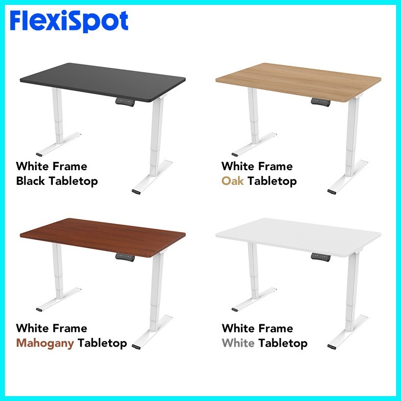 FlexiSpot E5 Electric Standard Standing Desk Height Adjustable 2-Motor ...
