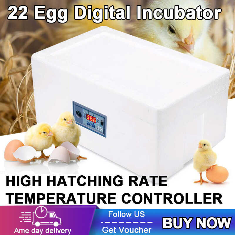 Digital 220V 22 Fully Automatic Thermostat Egg Hatching Chicken Poultry ...
