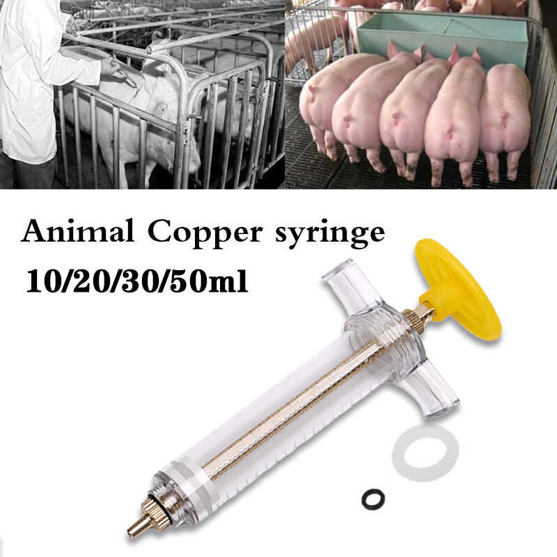 Copper Head Veterinary Plastic Steel Pet Feeding Syringe Parrot Bird ...