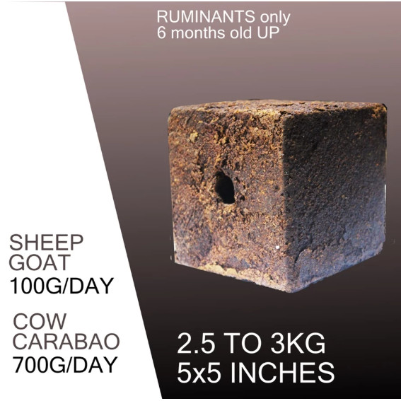 UMMB Urea Molasses Multi Nutrient Block 5 by 5 Inches | Shopee Philippines