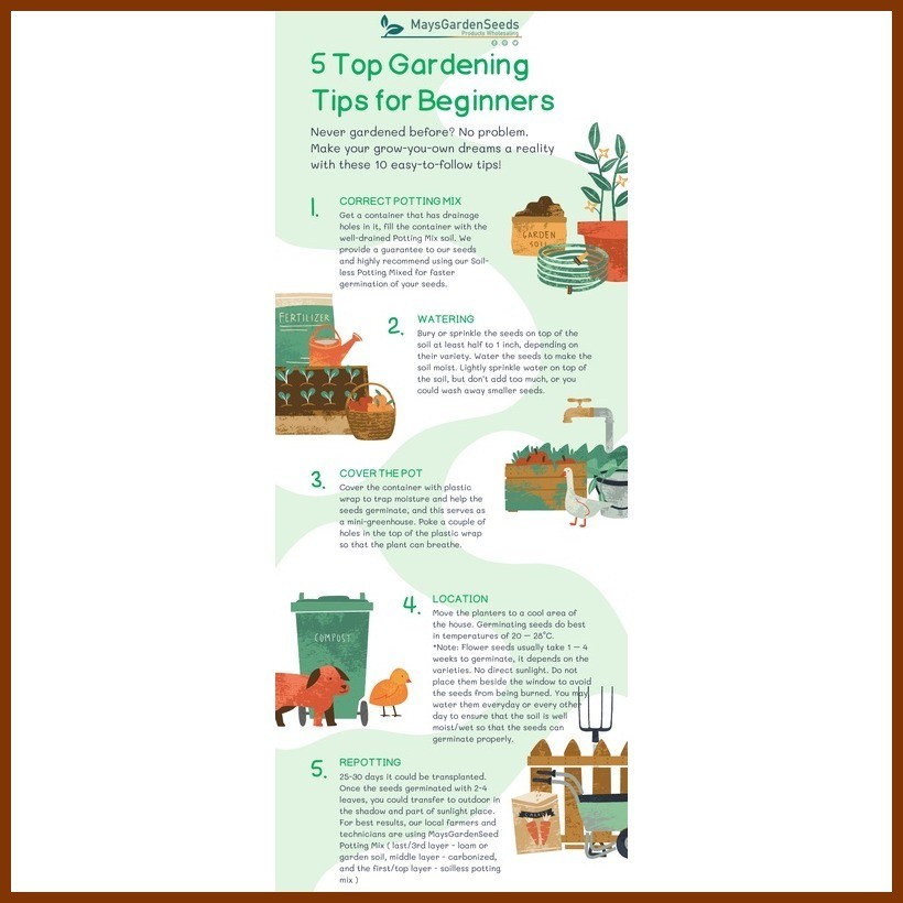 ∇ ☸ Rainbow Bagras Tree Seeds, Rainbow Eucalyptus Tree, Tree Seeds#018 ...