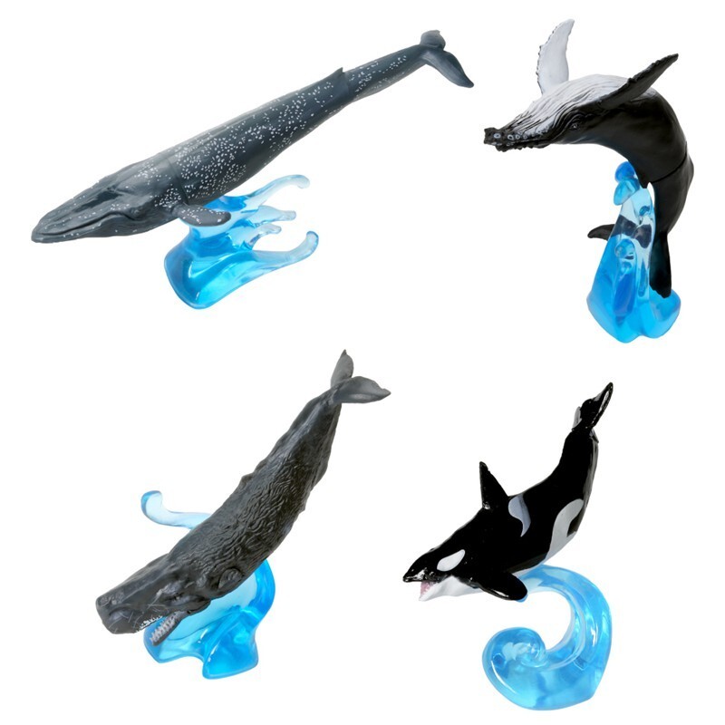 Japanese Genuine Gacha Scale Biological Cognitive Model Blue Orca ...