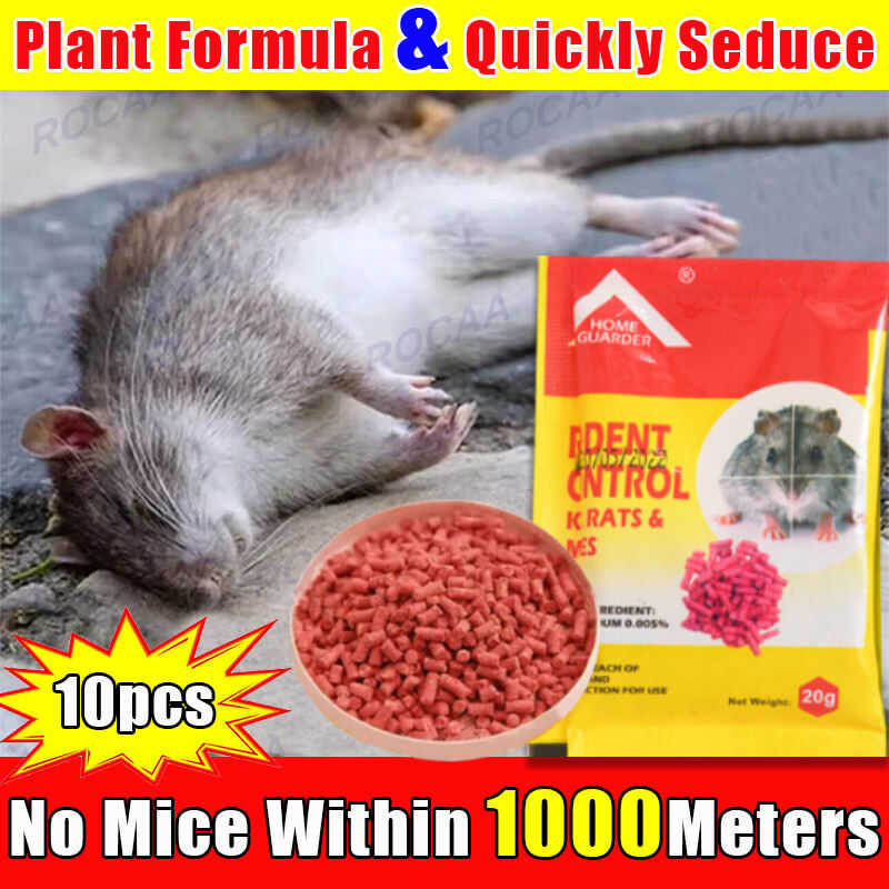Buy 5 Take Rat Poison Killer Don't Die In The Room Rodenticide Lason Sa ...