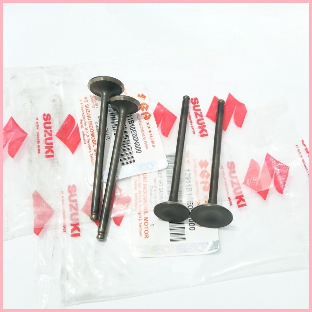 Suzuki Raider 150 Motorcycle Engine Valves Set (2 Intake / 2 Exhaust ...