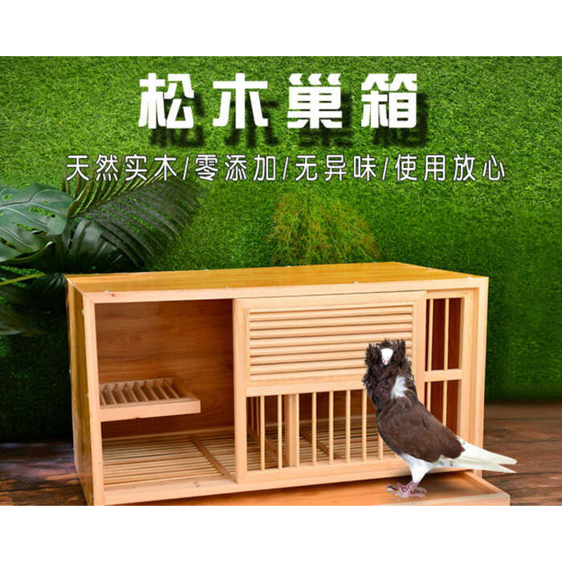 Carrier Pigeon Nest Box Pairing Cage Racing Breeding Adjusting Solid ...