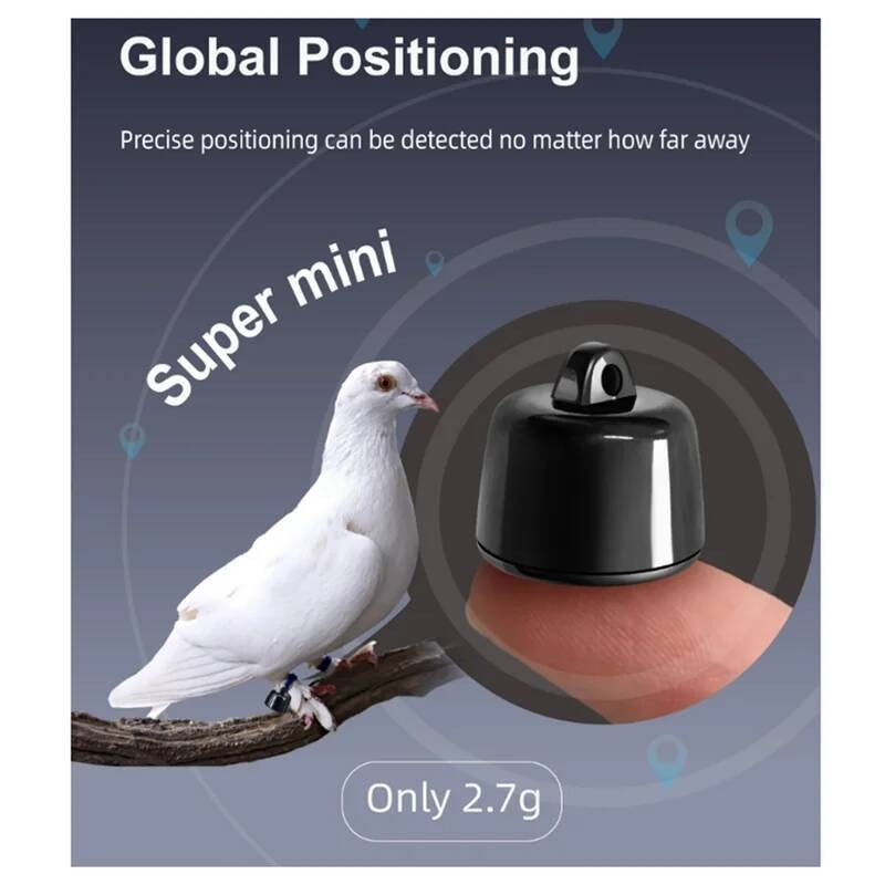 Positioning AAAEL-Global Pet Locator Mini Bird Pigeon GPS Tracker ...