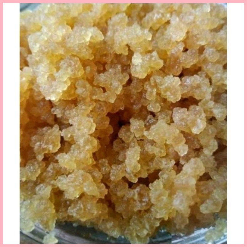 ⭐ Water kefir Grains and Muscovado Sugar | Shopee Philippines