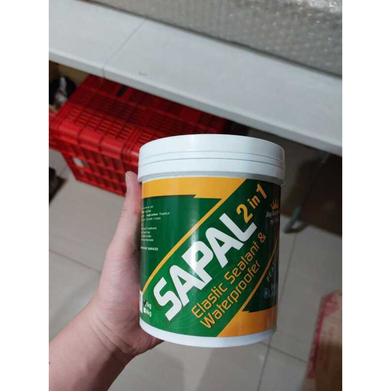 Buildrite SAPAL 2 in 1 (1kg) Weather Resistant, Water-based Acrylic ...