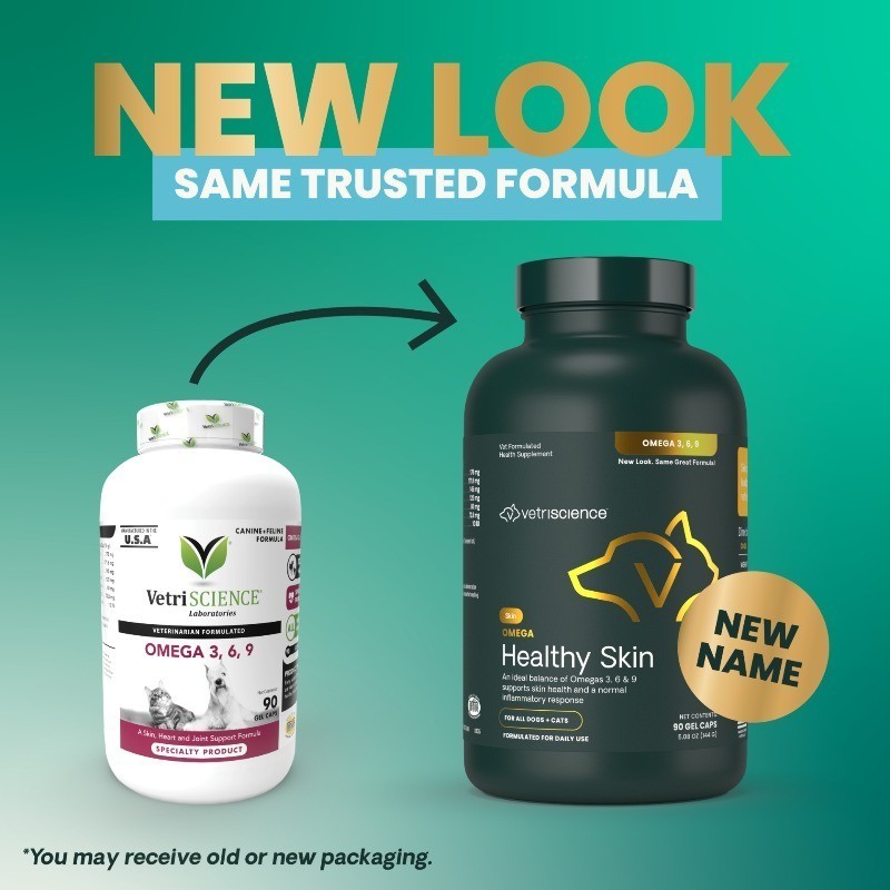 VetriScience Omega Healthy Skin for Dogs & Cats Capsule 90 Softgels ...