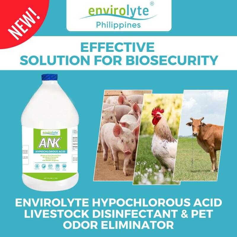Effective Solution For Biosecurity, Odor Eliminator And Piggery ...