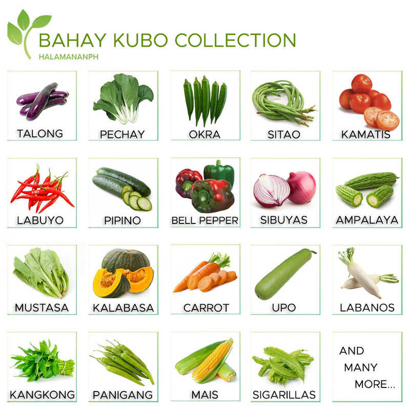 Seeds For Planting Vegetables Bahay Kubo Collection | Halamanan PH 7Fb | Shopee Philippines