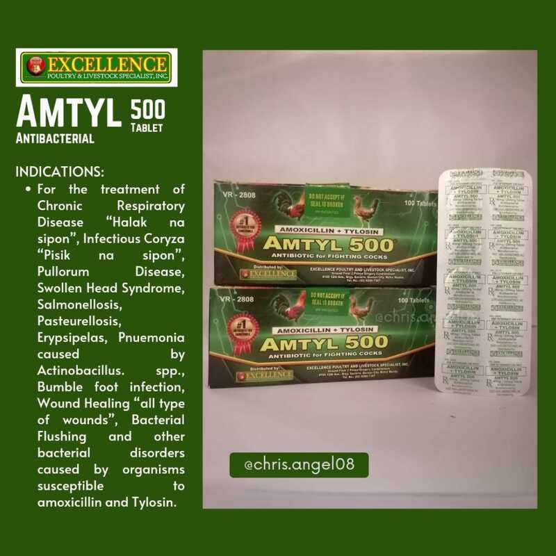 Amtyl COD 500 Tablet - Excellence (10Pcs/1 Banig) Pet Medicine - (10Pcs ...