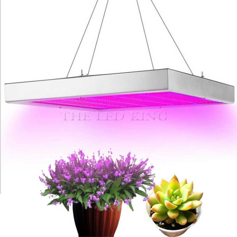Lamps LED Lumang Liwanag 2000W 3000W Buong Spectrum Double Switch Plant ...