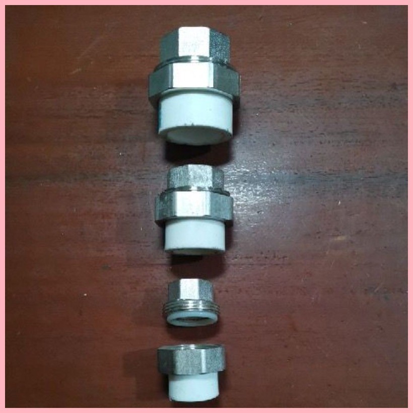♨ Ppr Male patente, Female patente, patente, ppr check valve swing ...