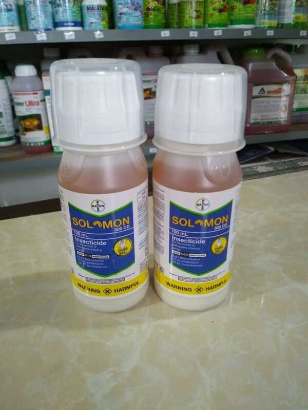 Solomon (Insecticide) 300 OD 8Ac F86 | Shopee Philippines
