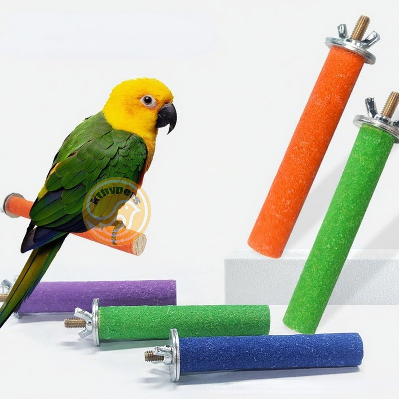 Renna's Parrot Perch Stand for Cage, Rest & Roost for Birds/Doves ...