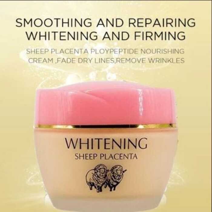 100% Authentic Andrea Secret Whitening Sheep Placenta 70G Natural Shade ...