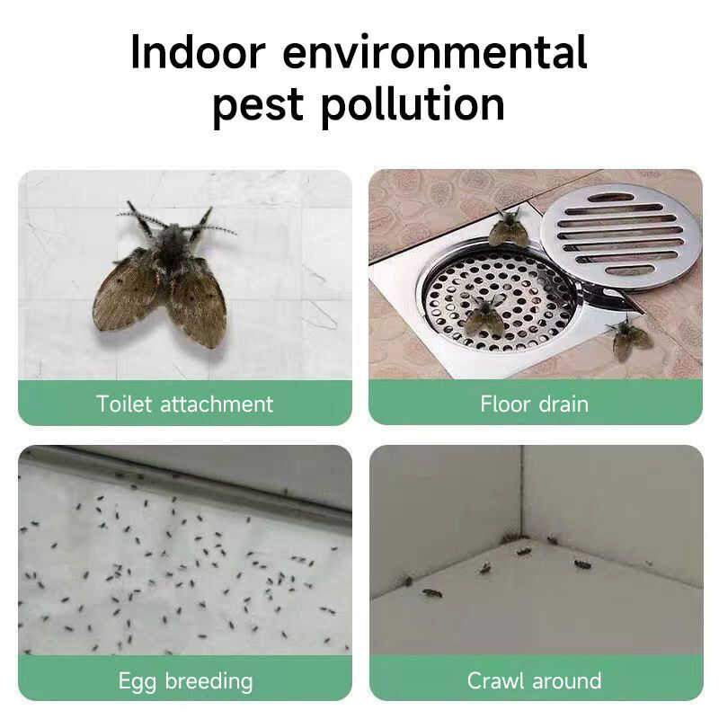 BH Non-Toxic Insecticide Used For Sewer, Or Drain, Kitchen Pipes Killer ...