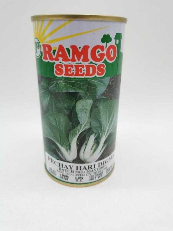 RAMGO HARI DIGMA PECHAY SEEDS ( 100 GRAMS CAN ) | Shopee Philippines