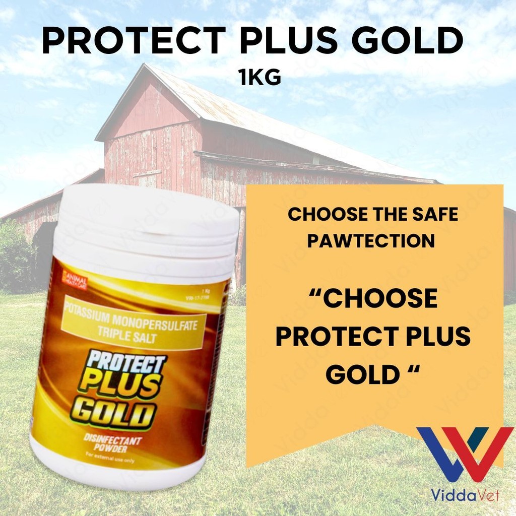 1kg Protect Plus Gold Disinfectant Powder for piggery house | Shopee ...