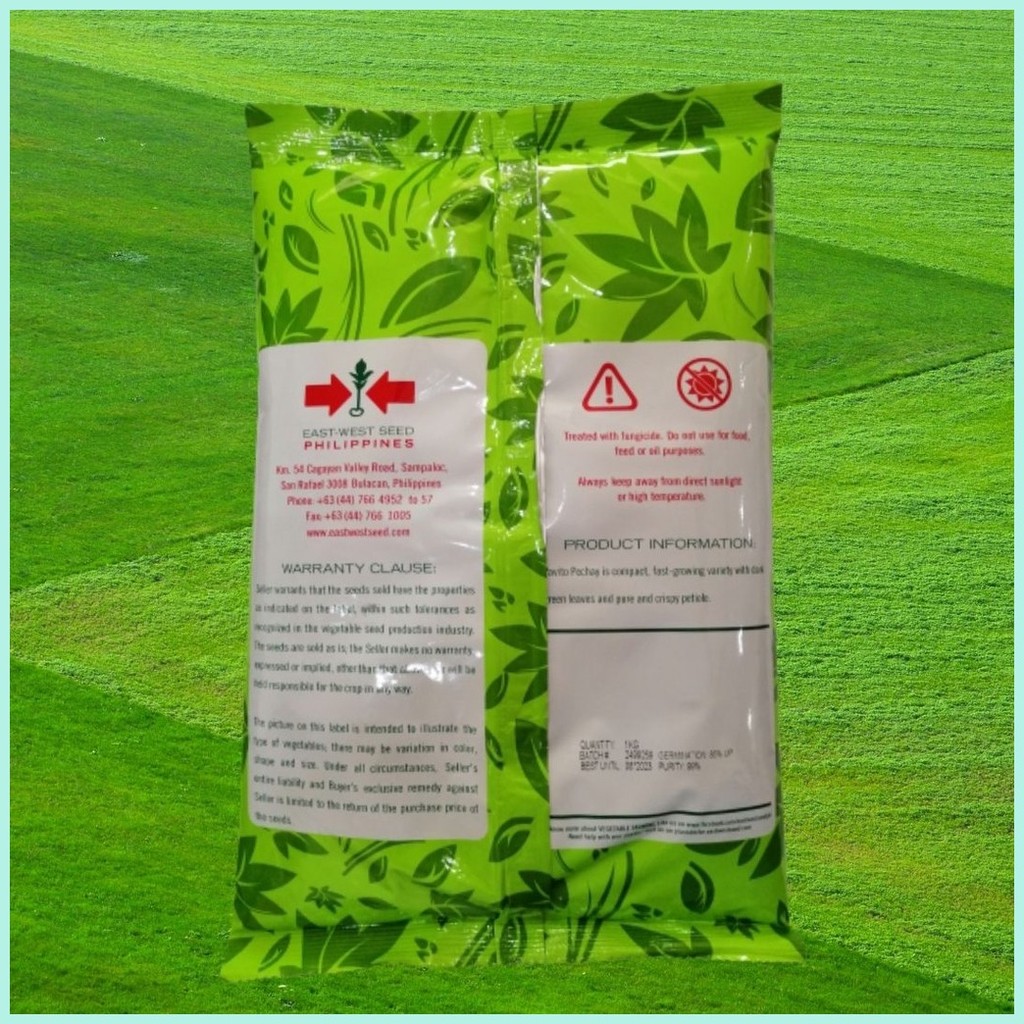 East West Pechay Pavito Seeds Kg | Shopee Philippines
