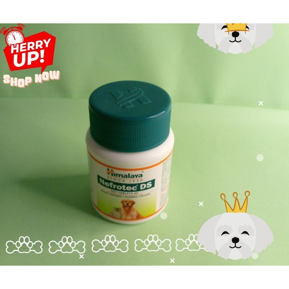 Himalaya Nefrotec DS Kidney Supplement for dogs and cats (60 tablets ...
