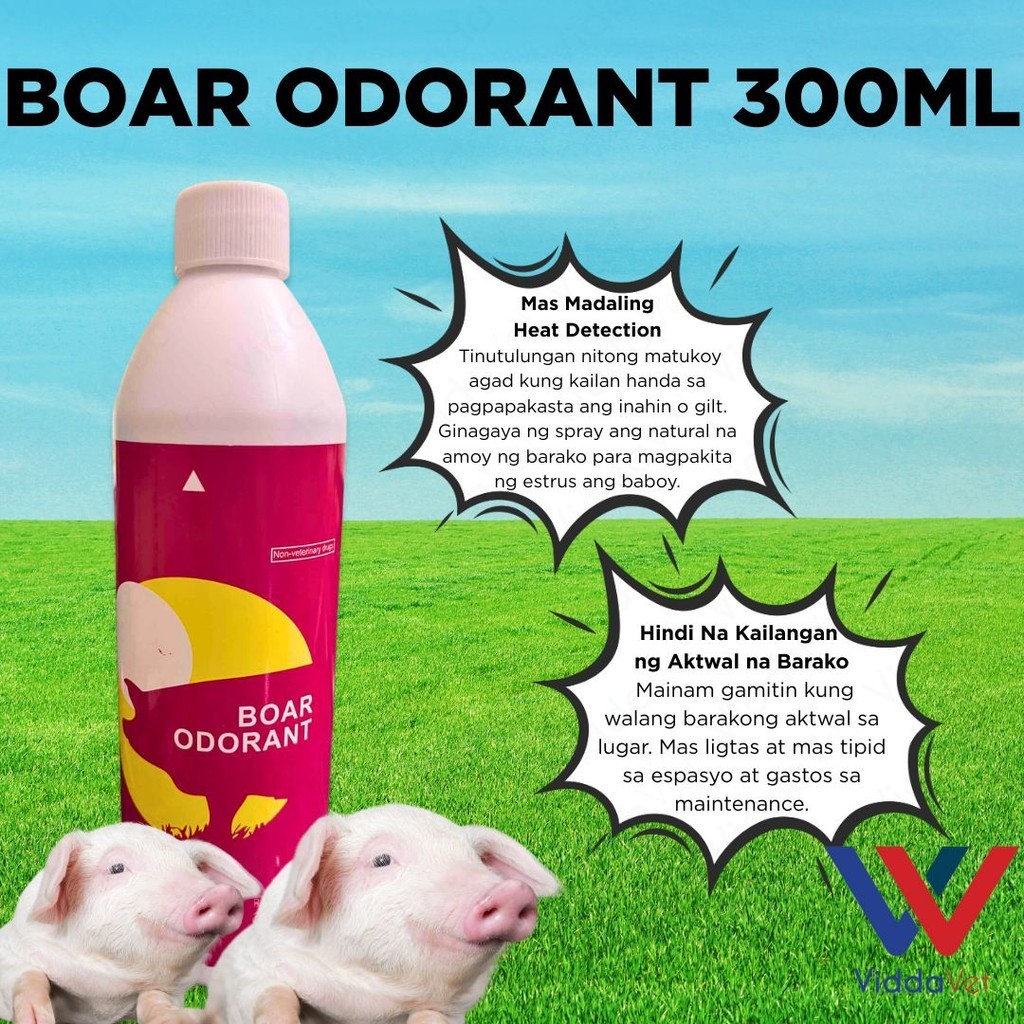 300ML Boar Odorant Spray para sa Tamang Oras ng Kasta | Shopee Philippines
