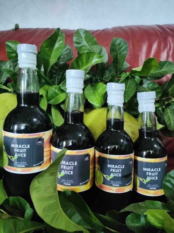 Calabash/Miracle Fruit Juice Homemade | Shopee Philippines