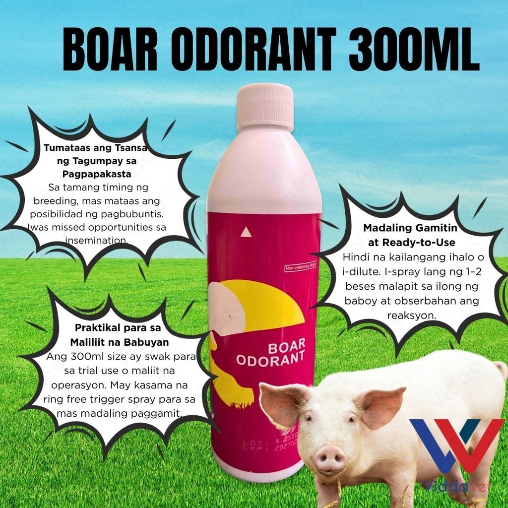 300ML Boar Odorant Spray para sa Tamang Oras ng Kasta | Shopee Philippines