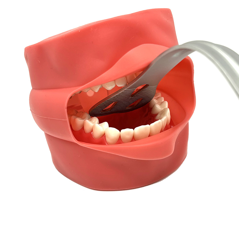 Stainless Steel Dental Lingual Isolation Retractor Mouth Retractor ...