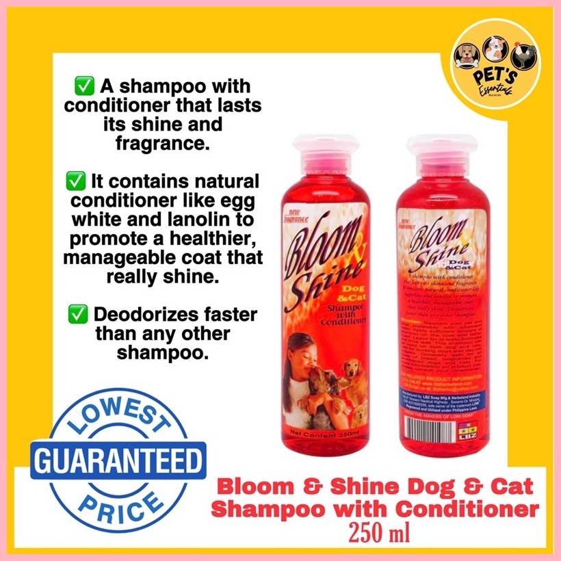 ♂ ♞,♘,♙Bloom and Shine Dog and Cat Shampoo with Conditioner 250ml ...