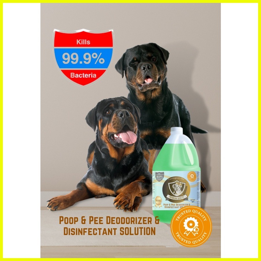 ♀ Premium Poop & Pee Deodorizer & Disinfectant 1 Galon Dog and Cat ...
