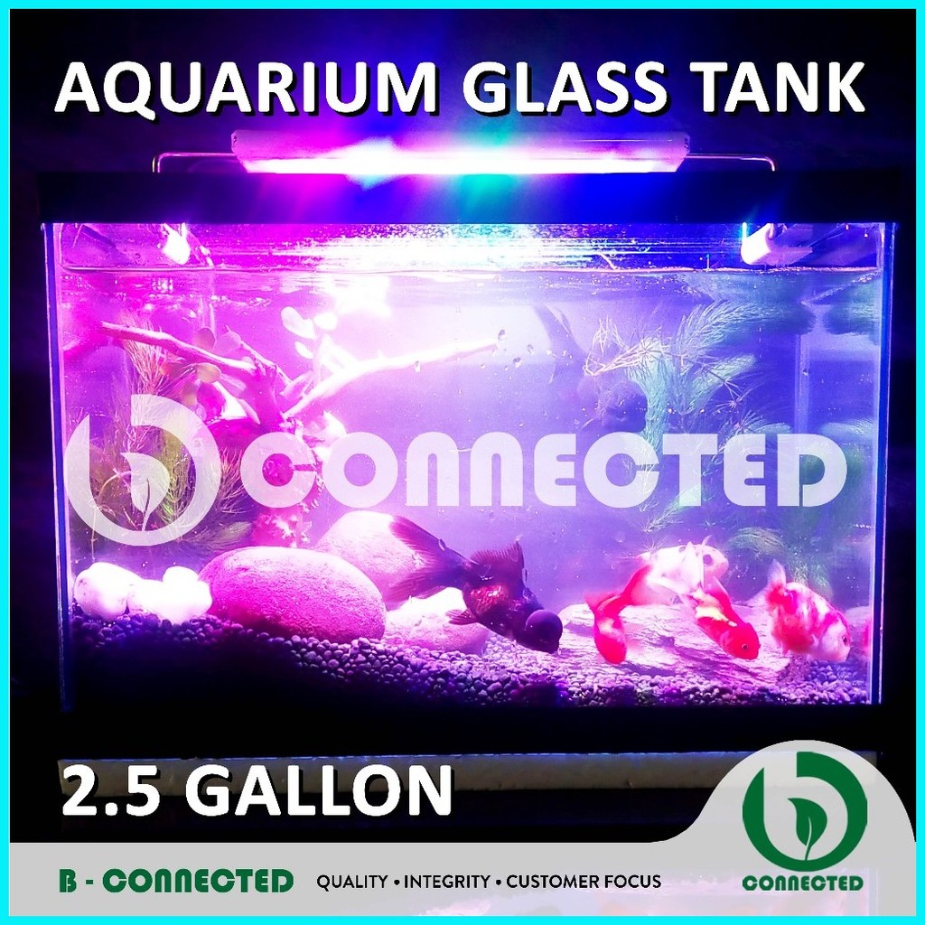 AQUARIUM GLASS TANK 2.5 & 5 GALLON BY B-CONNECTED ( FISH / SHRIMP ...