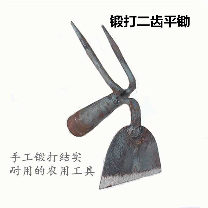 Shiwo Forged Two-Tooth Flat Rake Grab Hook Agricultural Hardware ...