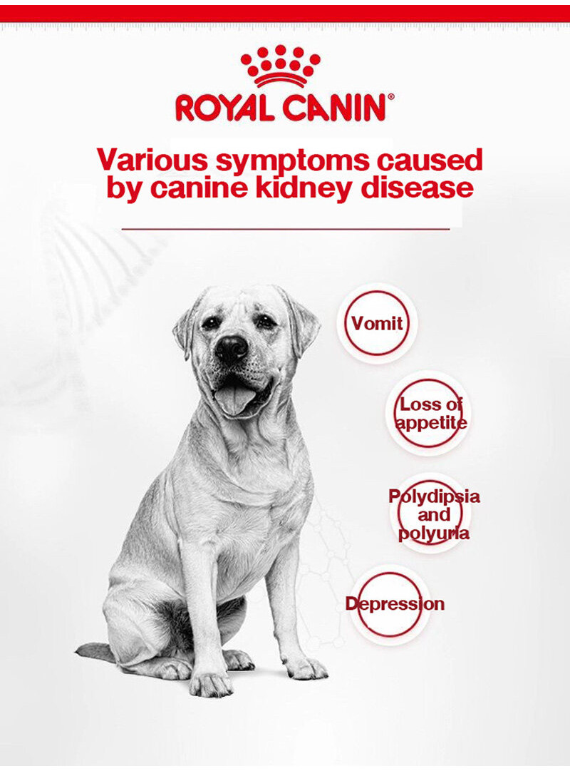 Royal Canin Dog Canned Wet Food for Chronic Renal Failure & Nephritis ...