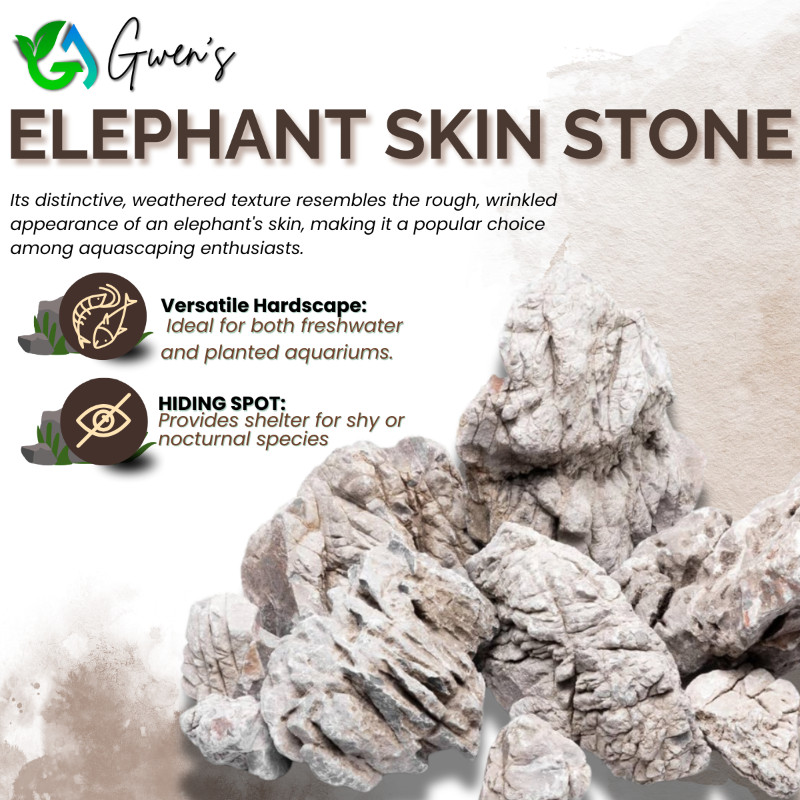 BLACK SEIRYU STONE / DRAGON STONE / ELEPHANT SKIN STONE - Aquascaping ...