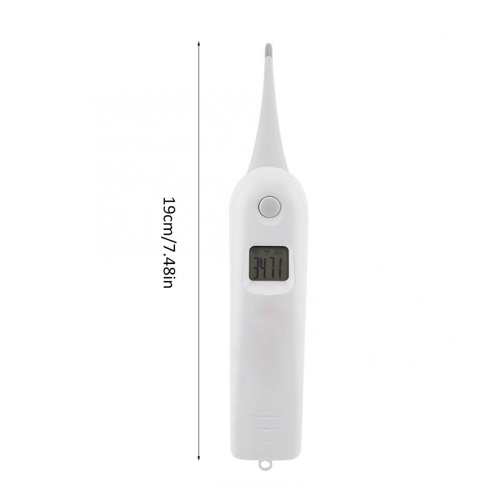 Pet Temperature Measurement Fast Digital Veterinary for Dogs Cats Horse ...