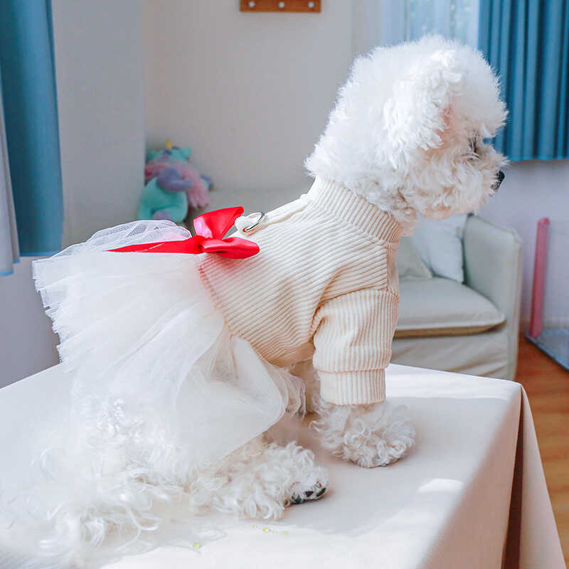 Beige Φ PETCIRCLE Gauze Para Sa Maliit Na Medium Dogs Puppy Cat Lahat ...