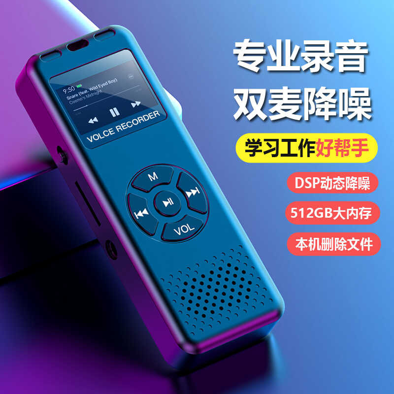Voice Recorder Professional High-Definition Noise Reduction Small ...