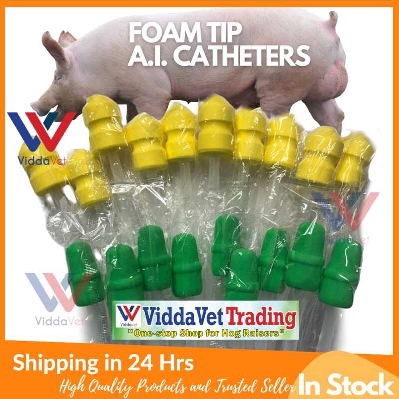 Pig AI Catheter For Sow Gilt Foam Tip Catheter Swine Artificial ...