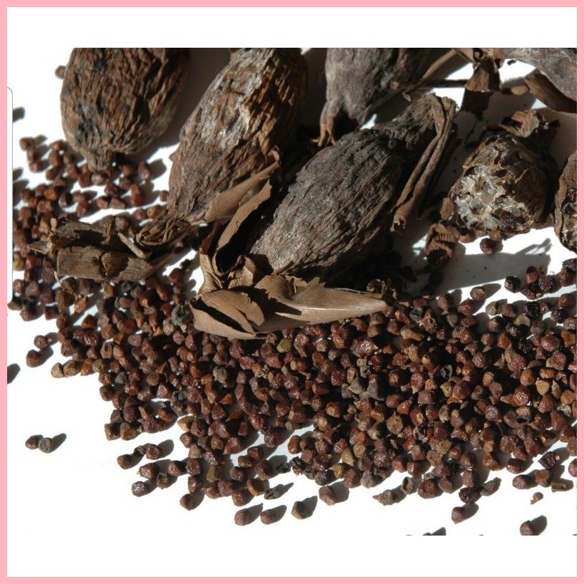 Alligator Pepper Seed 1pc Big Size (Mgbongo Spice/Hepper pepper ...