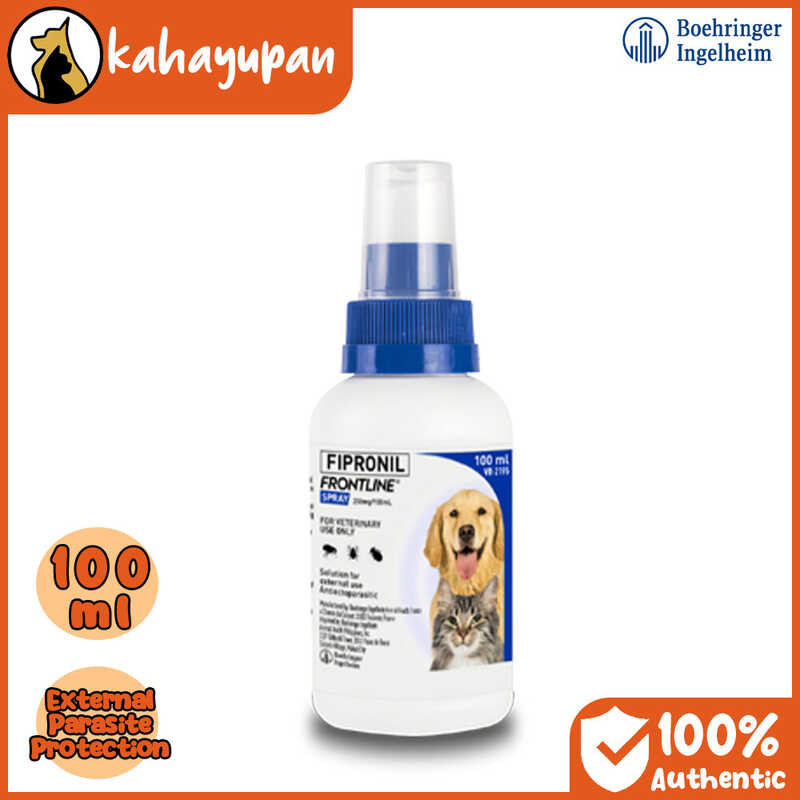 Flea And Tick Prevention For Cats With Sarcoptic Mange Photography ...