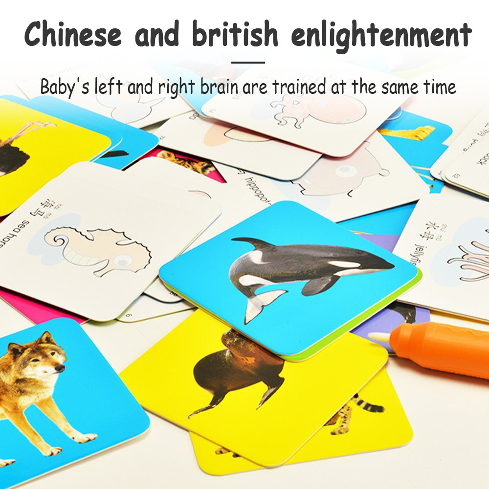 Doodle Flash Card Early Educational Cards Pinyin Fruits Alphabets ...