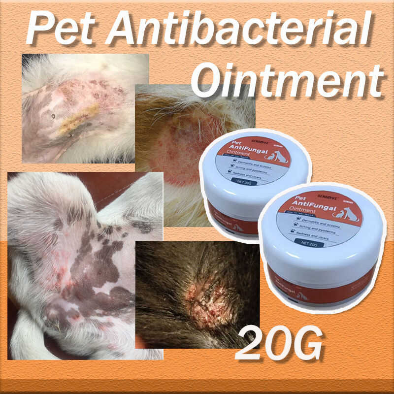 SENLOVE 20G Dog Disease Medicine Skin Allergy Ringworm Ointment For Cat ...