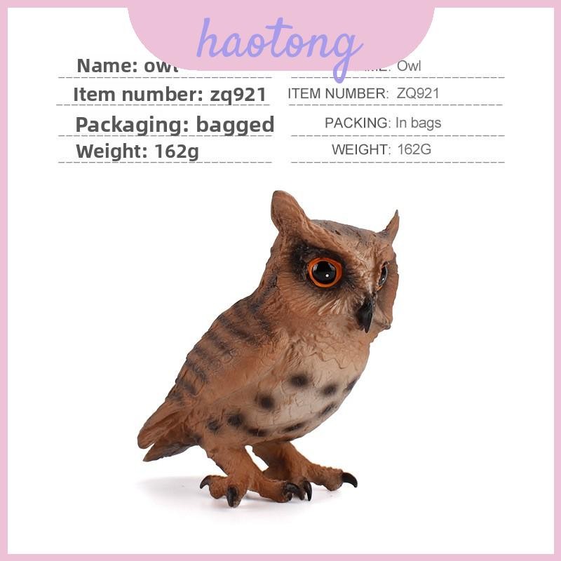Bird Pvc Replicas Including Owl And Hawk For Classroom Teaching And ...