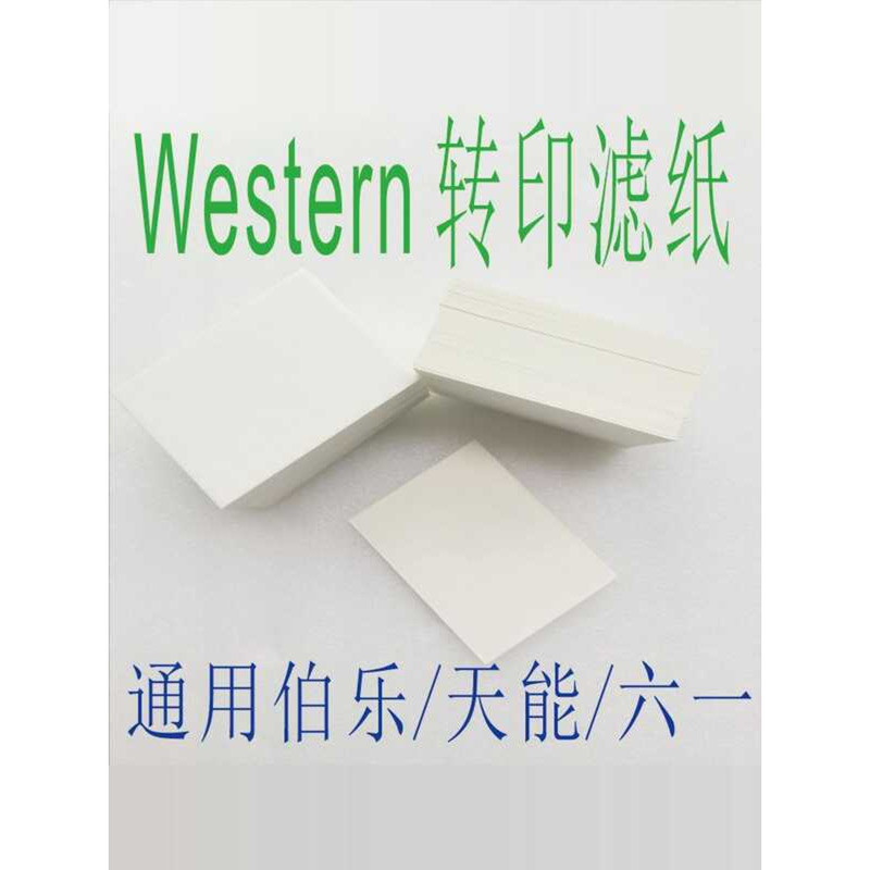 WB Film Wet Western Blot Suitable for Bole/Tian Neng/Liuyi Thick ...