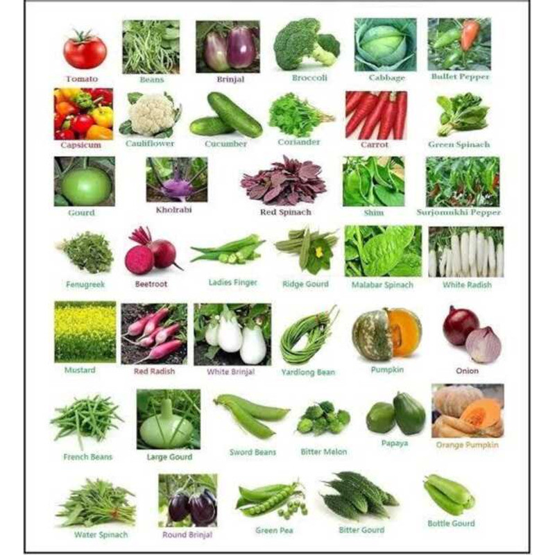 Vegetable Seeds ( Patola, Sigarilyas, Saluyot,Kundol,Papaya) | Shopee ...