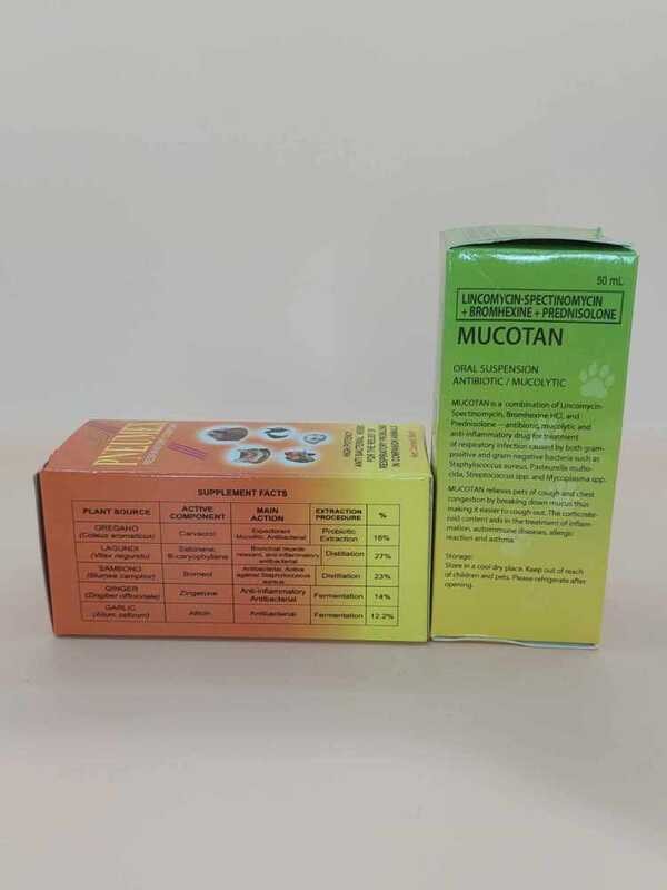 Mucotan And Pnuemex For Respiratory Track Infection | Shopee Philippines