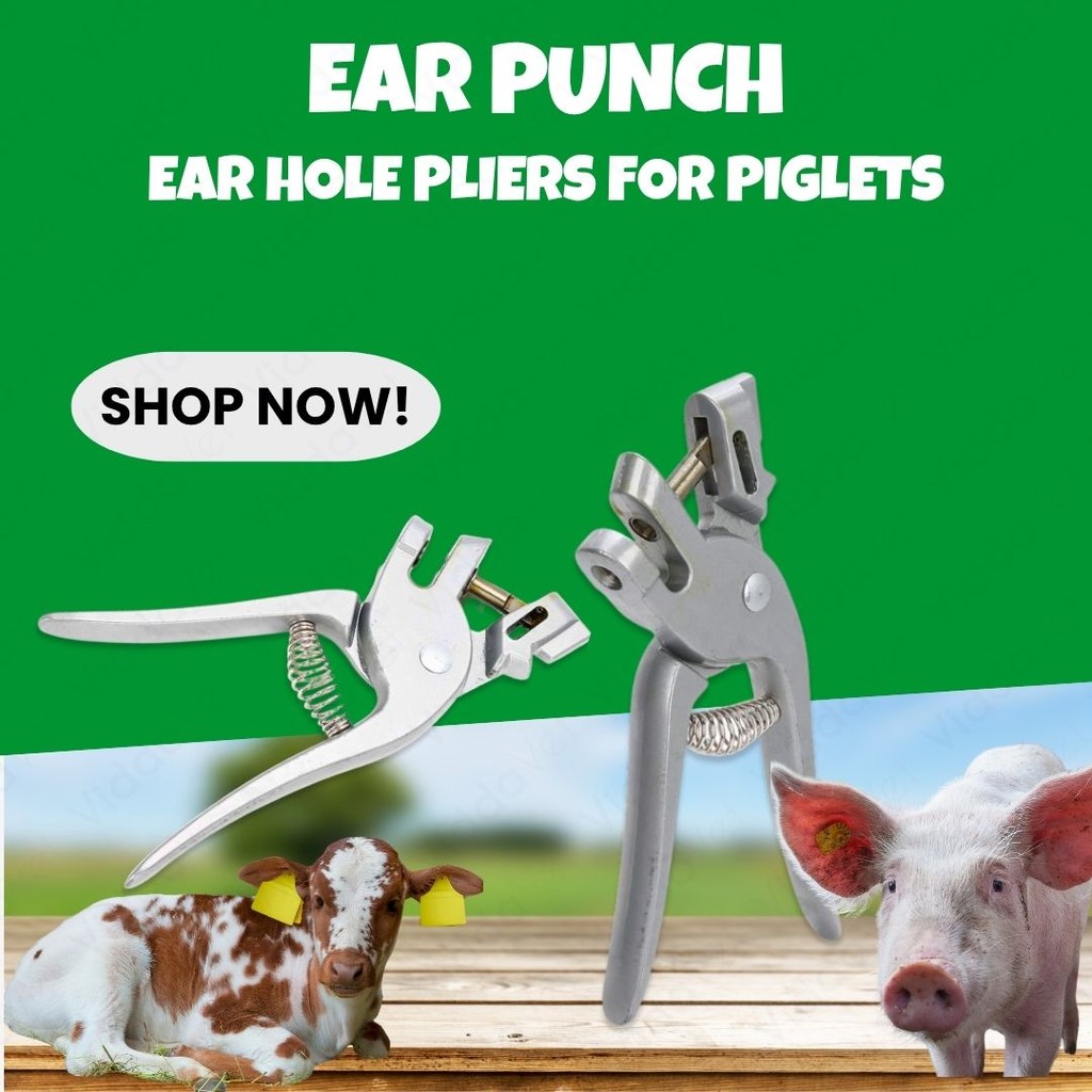 Ear Punch Ear Hole Pliers Tagging Applicator for Goats, Sheep, Cattle ...