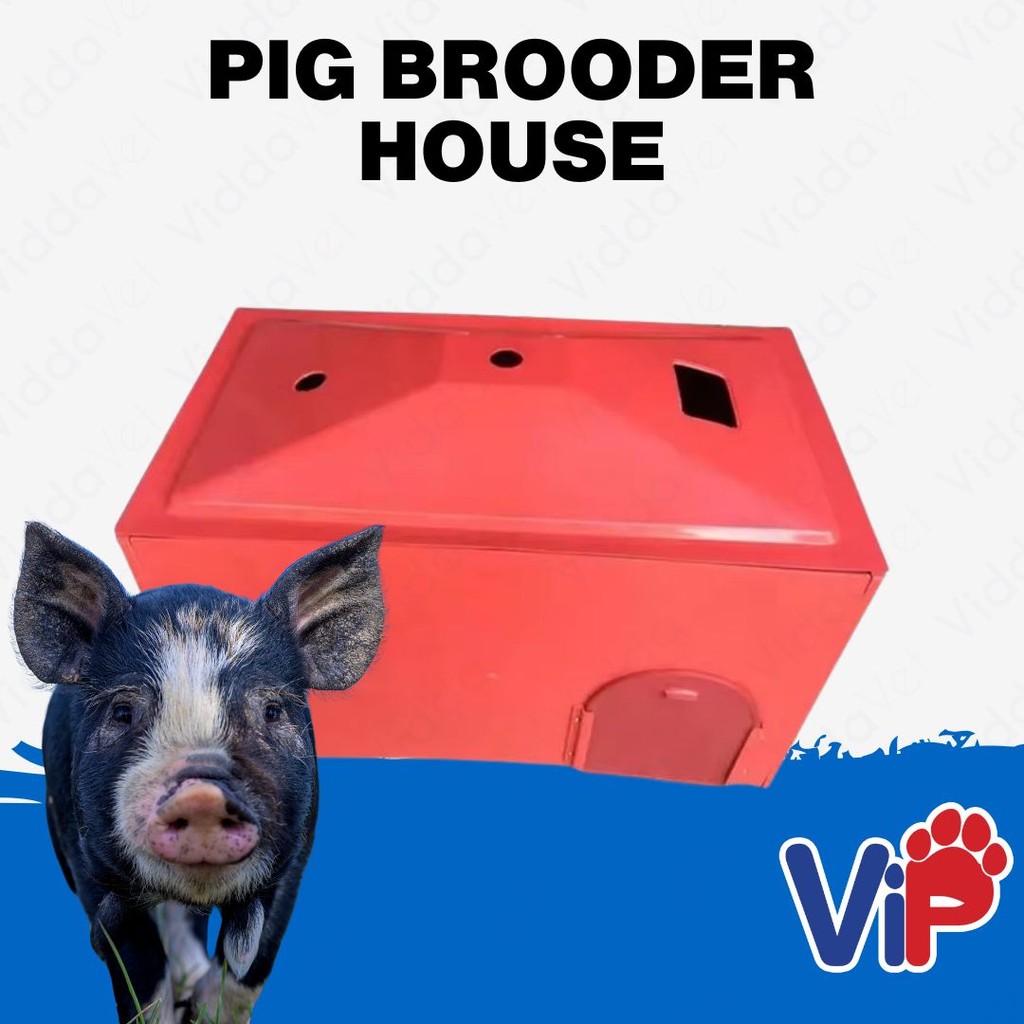 Piglet Brooder house Pig Farm for Piglet Warm Box with the Use of ...